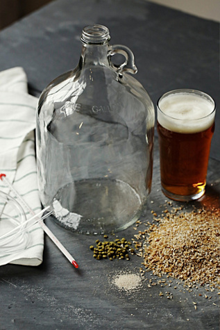 DIY Beer Making Kit at Free People Clothing Boutique