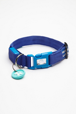 Light Up Collar at Free People Clothing Boutique