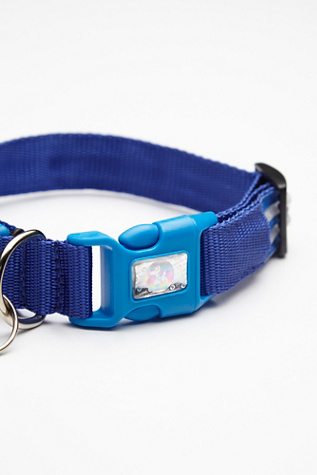 Light Up Collar at Free People Clothing Boutique