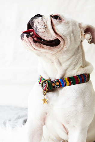 Ariana Ost Gold Dog Tags at Free People Clothing Boutique